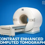 AIMIM Full Form | 5 Amazing Facts, Meaning & History